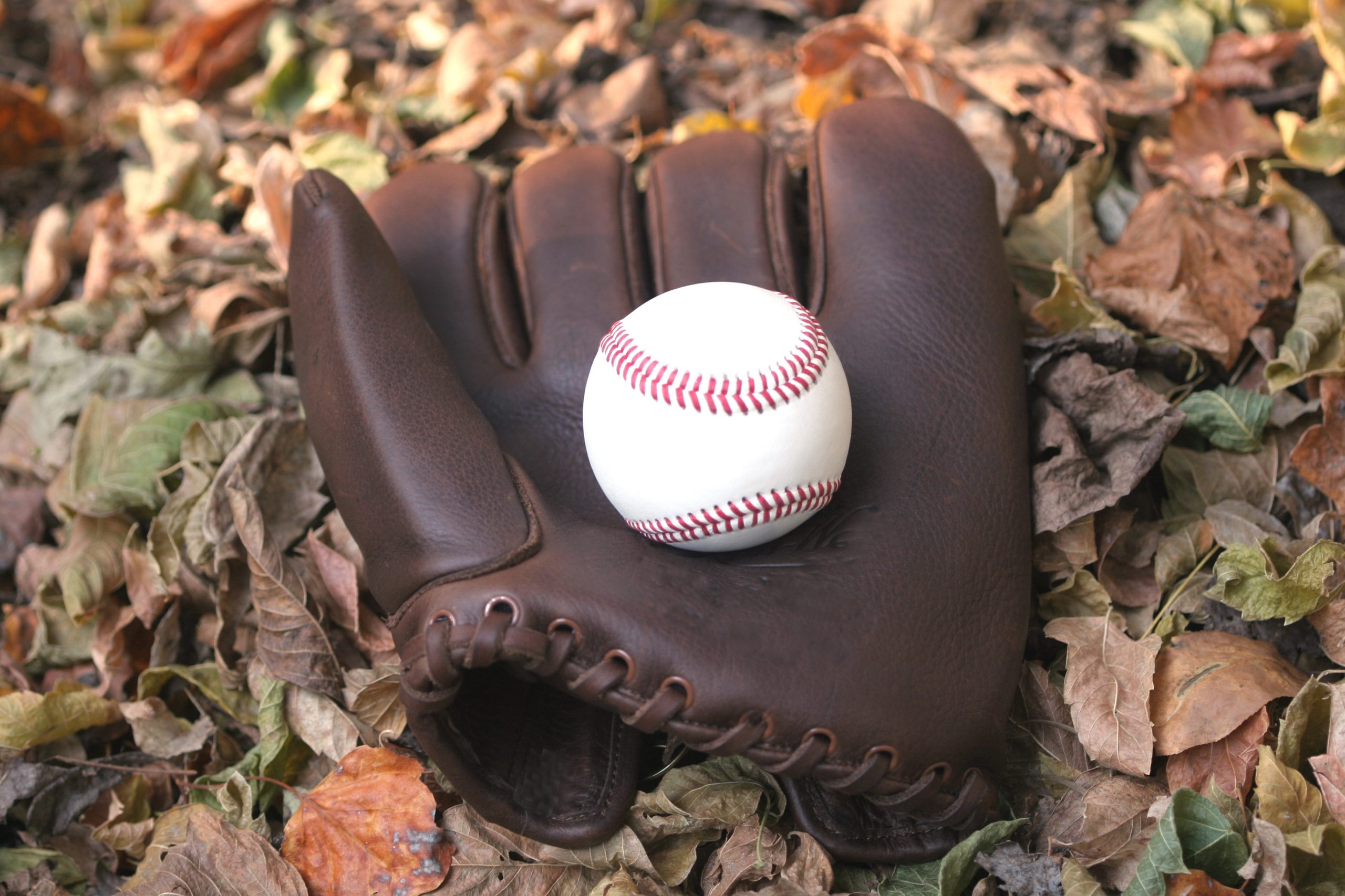 The Ohio Cup - Vintage Baseball Festival; 8/30-31 - WYBSL